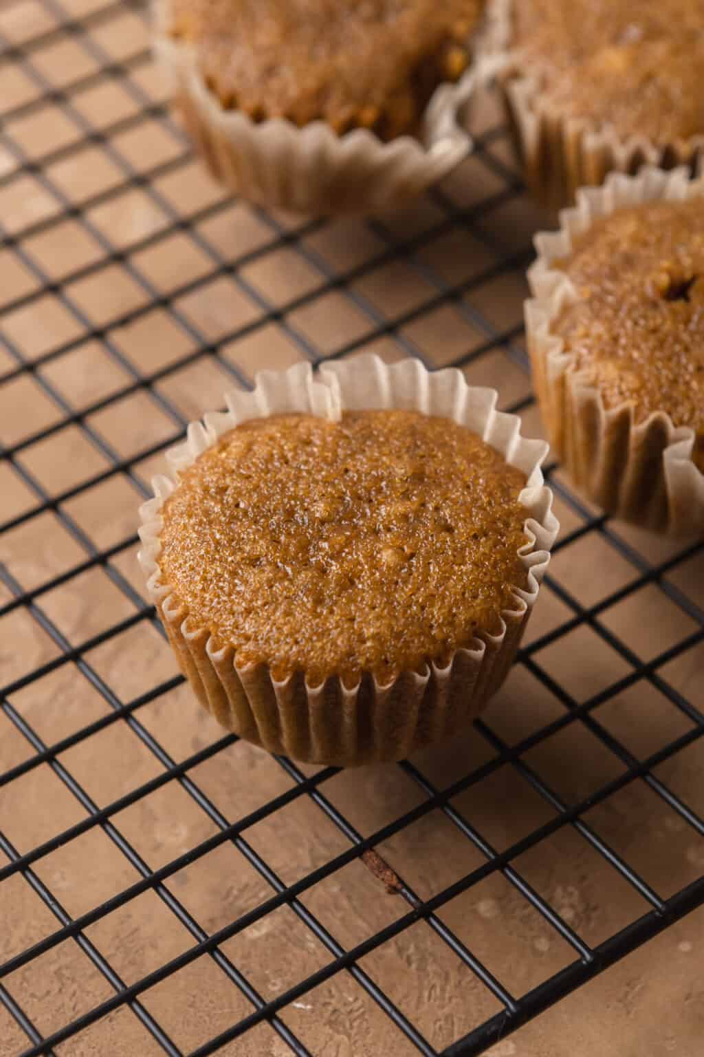 Fluffy Coffee Cupcakes – Dollop of Dough