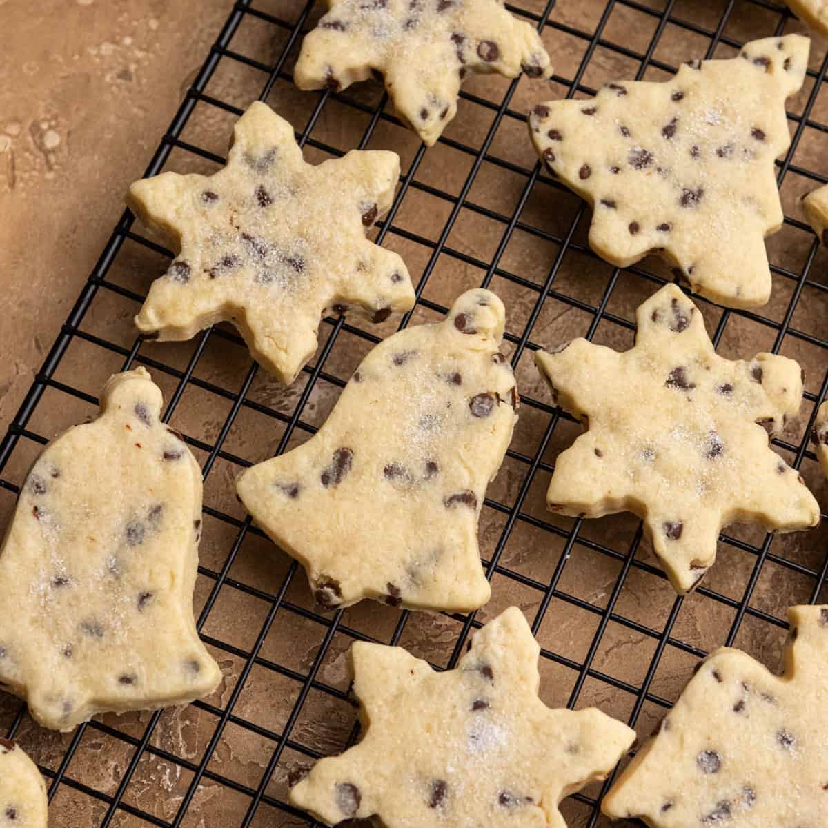 Chocolate Cutout Cookies My Best Chocolate Sugar Cookies Sally's